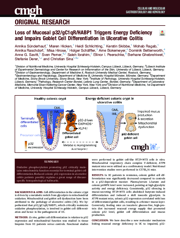 (PDF) Loss of Mucosal p32/gC1qR/HABP1 Triggers Energy Deficiency and ...