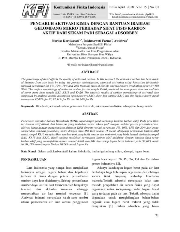 (PDF) Pengaruh Aktivasi Kimia Dengan Bantuan Iradiasi Gelombang Mikro ...