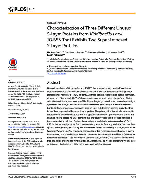 (PDF) Characterization of Three Different Unusual S-Layer Proteins from ...