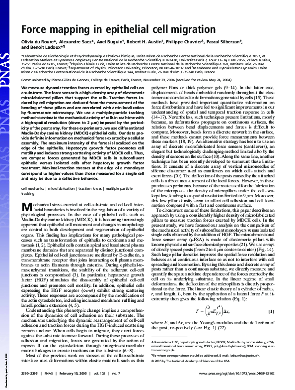 (PDF) Force mapping in epithelial cell migration