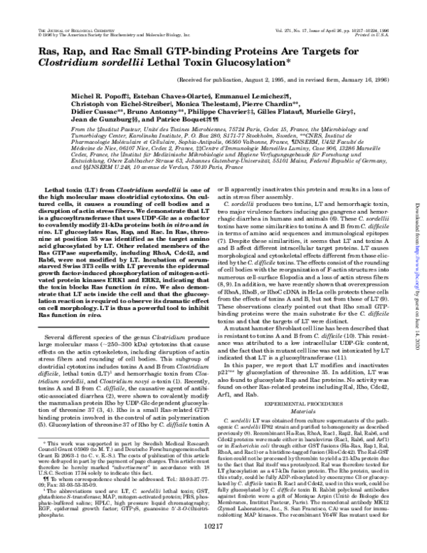 (PDF) Ras, Rap, and Rac Small GTP-binding Proteins Are Targets for ...