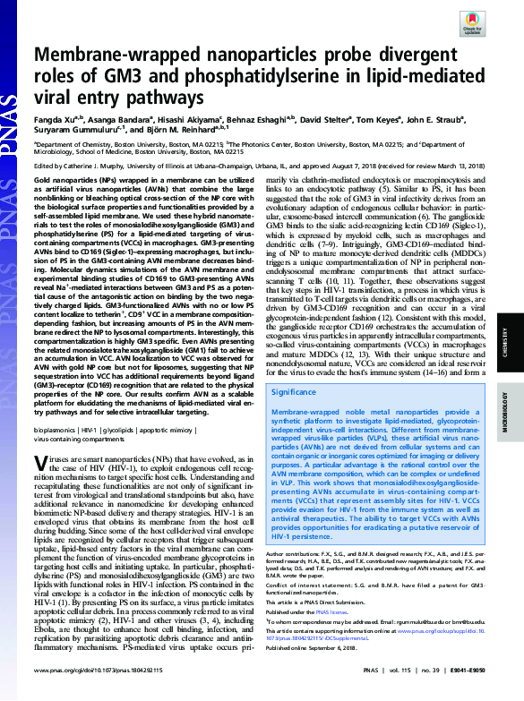 (PDF) Membrane-wrapped nanoparticles probe divergent roles of GM3 and ...