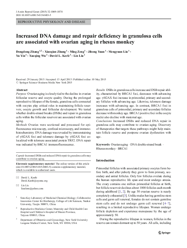 (PDF) Increased DNA damage and repair deficiency in granulosa cells are ...