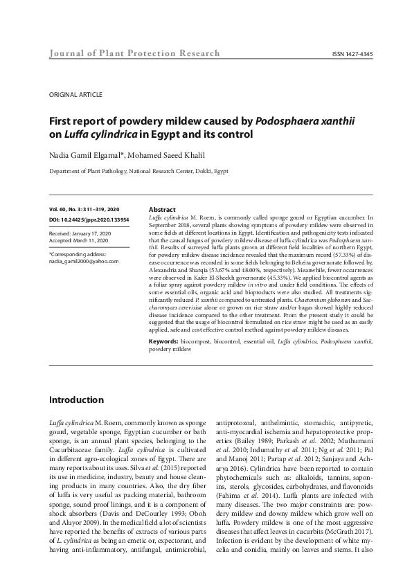 (PDF) First report of powdery mildew caused by Podosphaera xanthii on ...