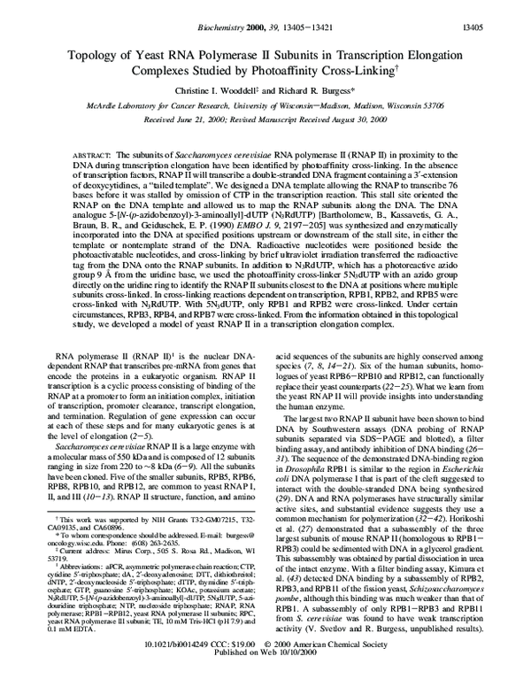 (PDF) Topology of Yeast RNA Polymerase II Subunits in Transcription ...