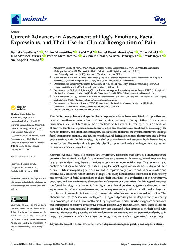 (PDF) Current Advances in Assessment of Dog’s Emotions, Facial ...