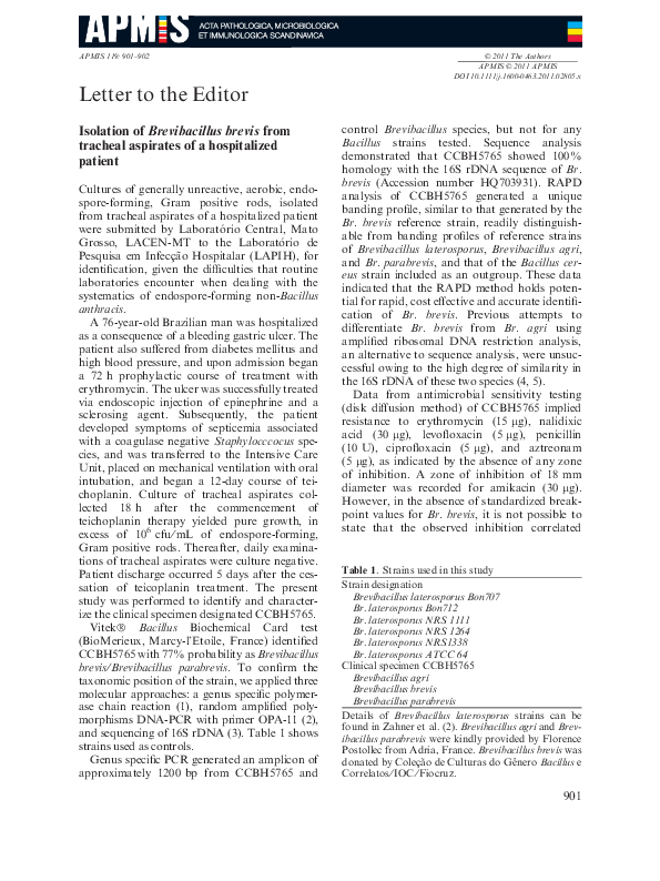 (PDF) Isolation of Brevibacillus brevis from tracheal aspirates of a ...