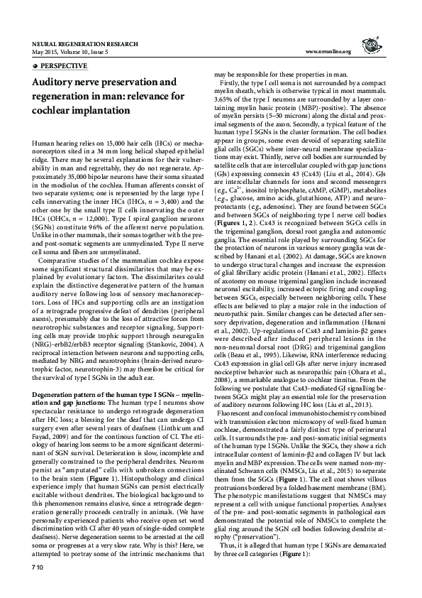 (PDF) Auditory nerve preservation and regeneration in man: relevance ...