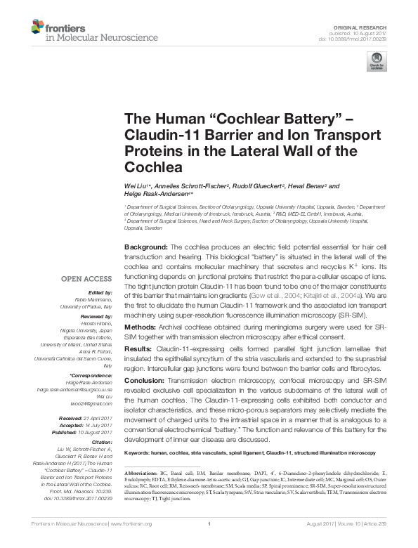 (PDF) The Human “Cochlear Battery” – Claudin-11 Barrier and Ion ...