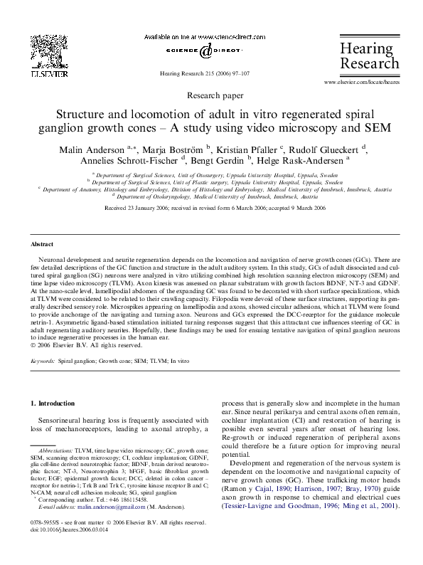 (PDF) Structure and locomotion of adult in vitro regenerated spiral ...