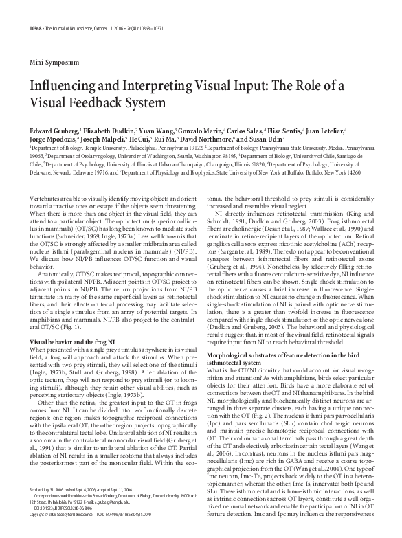 (PDF) Influencing and Interpreting Visual Input: The Role of a Visual Feedback System