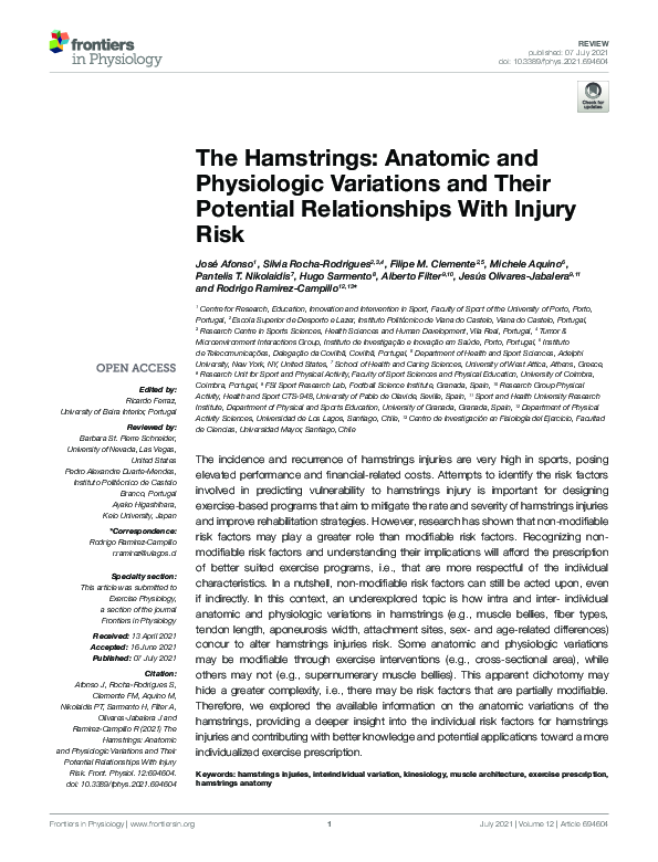 (PDF) The Hamstrings: Anatomic and Physiologic Variations and Their Potential Relationships With ...