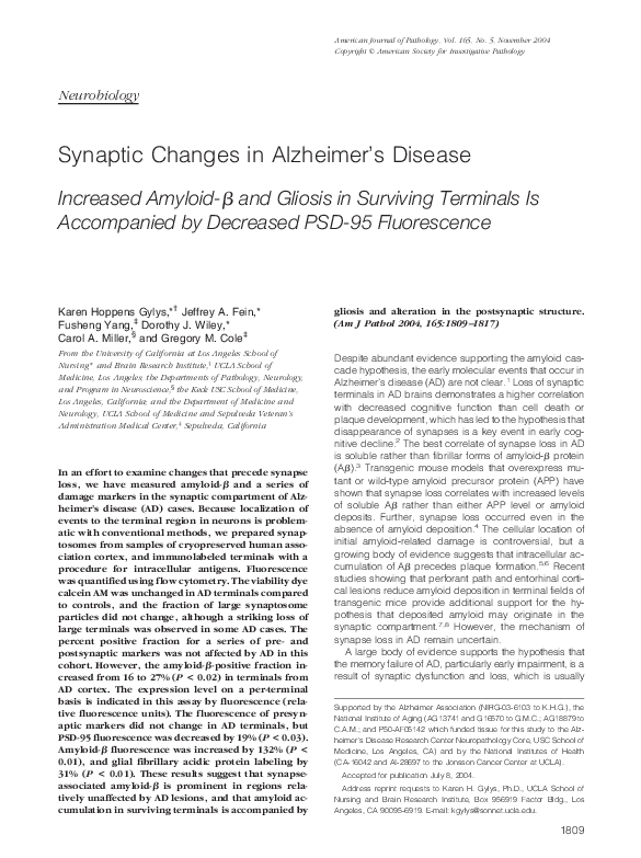 (PDF) Synaptic Changes in Alzheimer's Disease