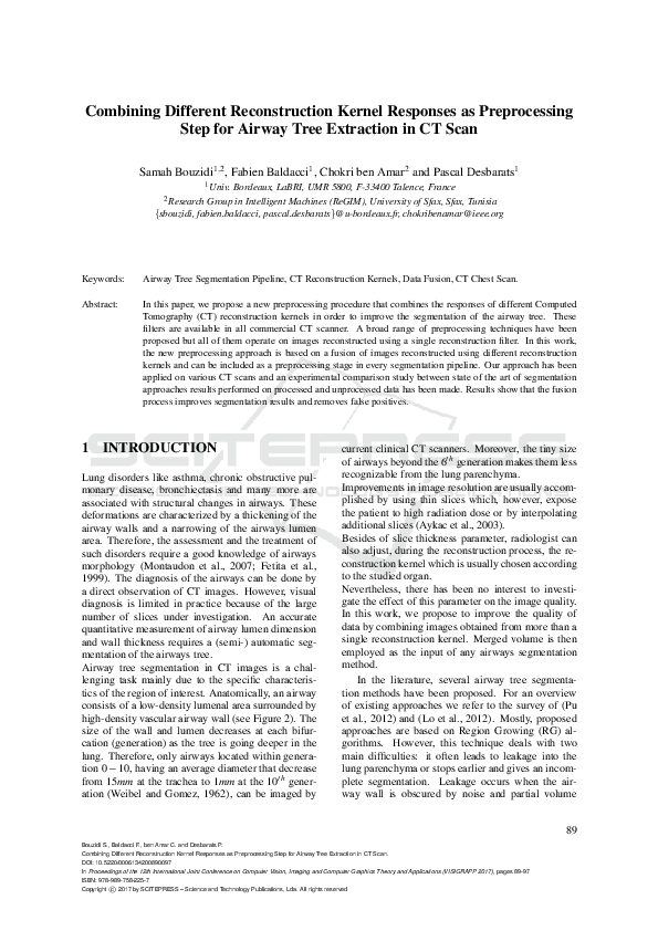 (PDF) Combining Different Reconstruction Kernel Responses as Preprocessing Step for Airway Tree ...
