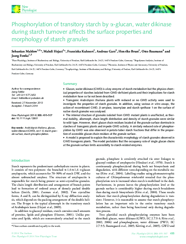 (PDF) Phosphorylation of transitory starch by α‐glucan, water dikinase ...