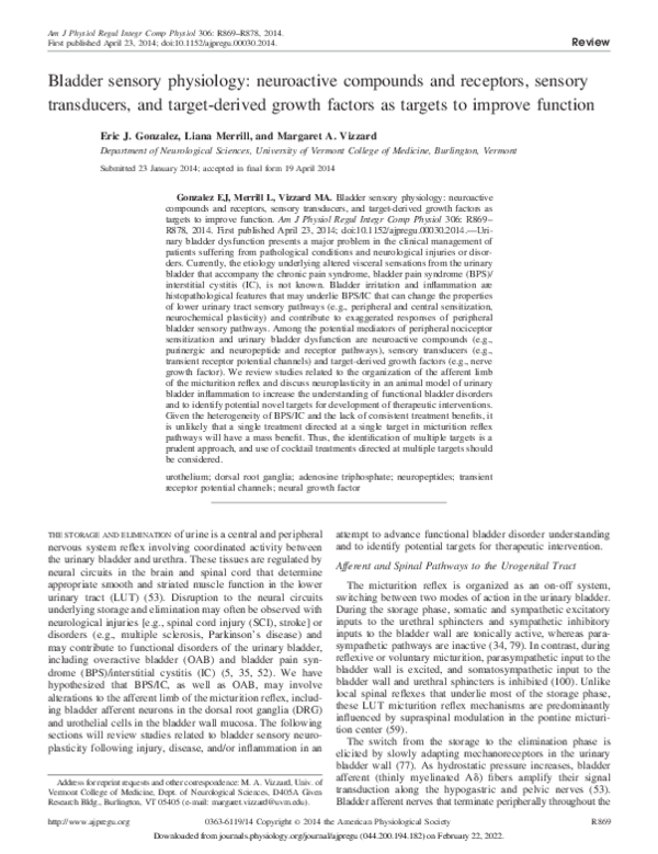 (PDF) Neuroactive Compounds in Bladder Dysfunction