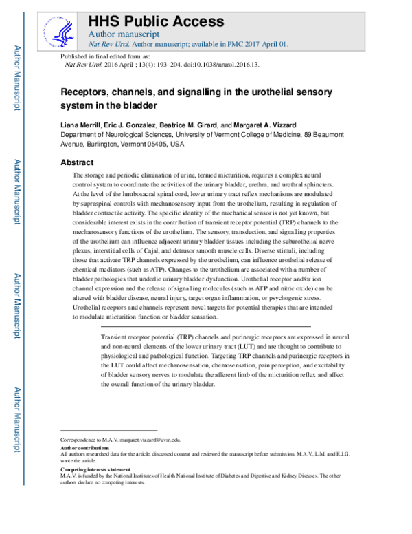(PDF) Receptors, channels, and signalling in the urothelial sensory ...