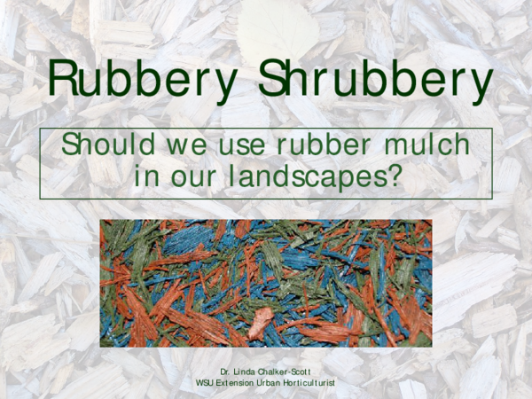 (PDF) Rubbery Shrubbery: Should We Use Rubber Mulch in Our Landscapes?