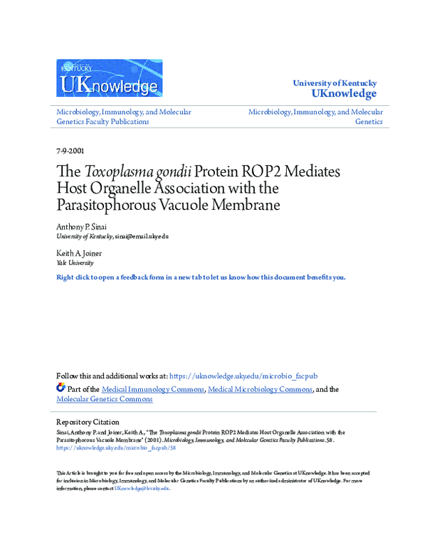 The \u3cem\u3eToxoplasma gondii\u3c/em\u3e Protein ROP2 Mediates Host ...