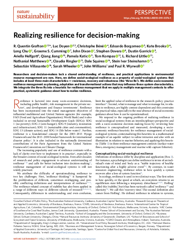 (PDF) Realizing the Dream: Decision-Making in Action