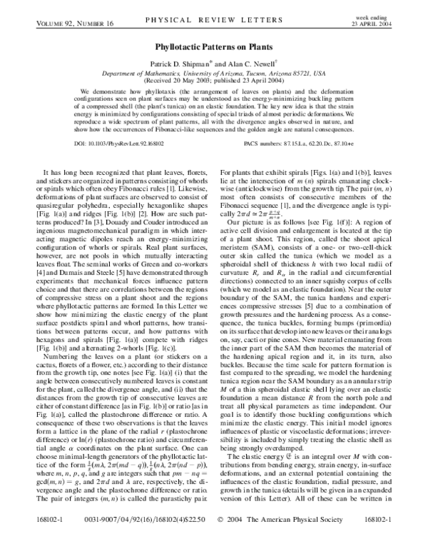 (PDF) Phyllotactic Patterns on Plants