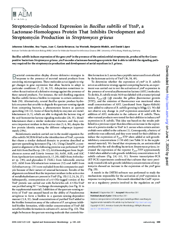 (PDF) Streptomycin-Induced Expression in Bacillus subtilis of YtnP, a ...