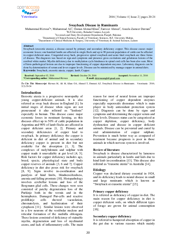 (PDF) Swayback Disease in Ruminants