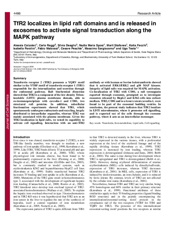 (PDF) TfR2 localizes in lipid raft domains and is released in exosomes ...