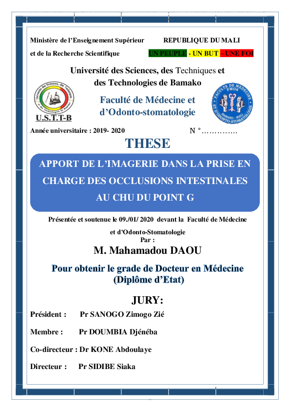 (PDF) Apport de l’imagerie dans la prise en charge des occlusions ...