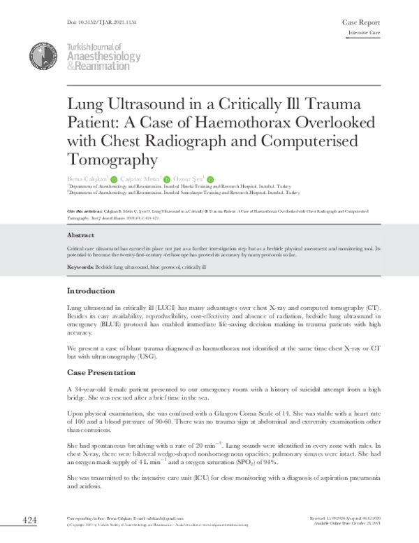 (PDF) Lung Ultrasound in a Critically Ill Trauma Patient: A Case of ...