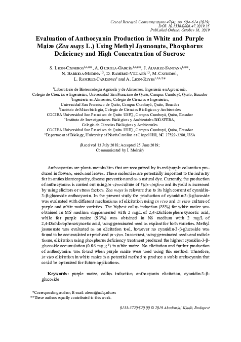 (PDF) Evaluation of Anthocyanin Production in White and Purple Maize (Zea mays L.) Using Methyl ...