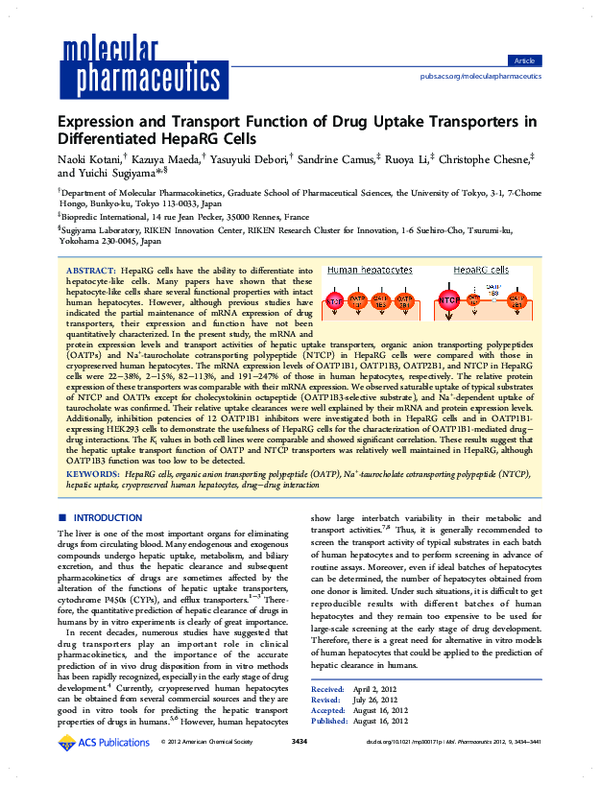 (PDF) Expression and Transport Function of Drug Uptake Transporters in ...