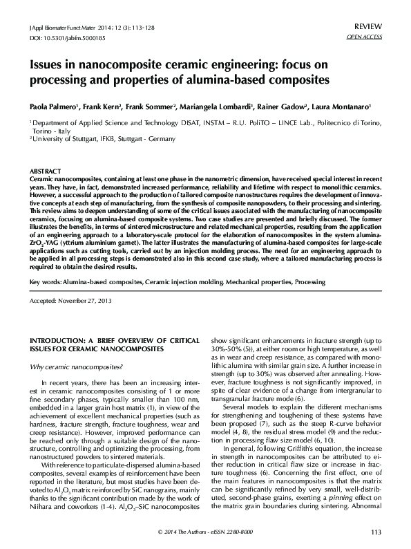 (PDF) Issues in nanocomposite ceramic engineering: focus on processing ...