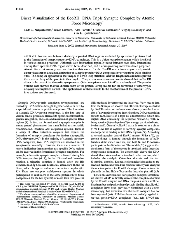 (PDF) Direct Visualization of the EcoRII−DNA Triple Synaptic Complex by ...