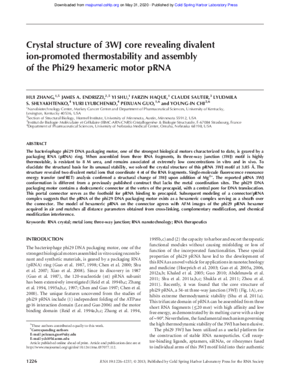 (PDF) Crystal structure of 3WJ core revealing divalent ion-promoted ...