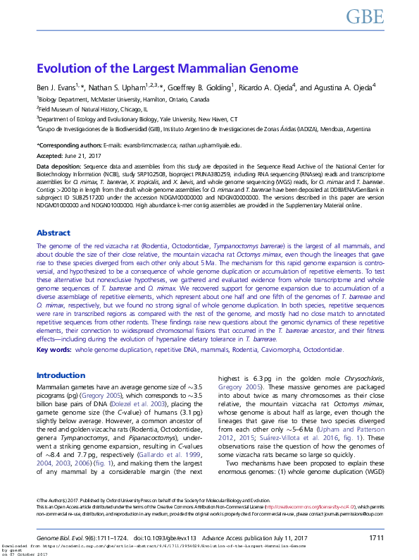 (PDF) Evolution of the Largest Mammalian Genome