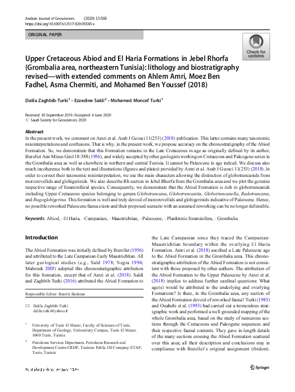 (PDF) Upper Cretaceous Abiod and El Haria Formations in Jebel Rhorfa ...