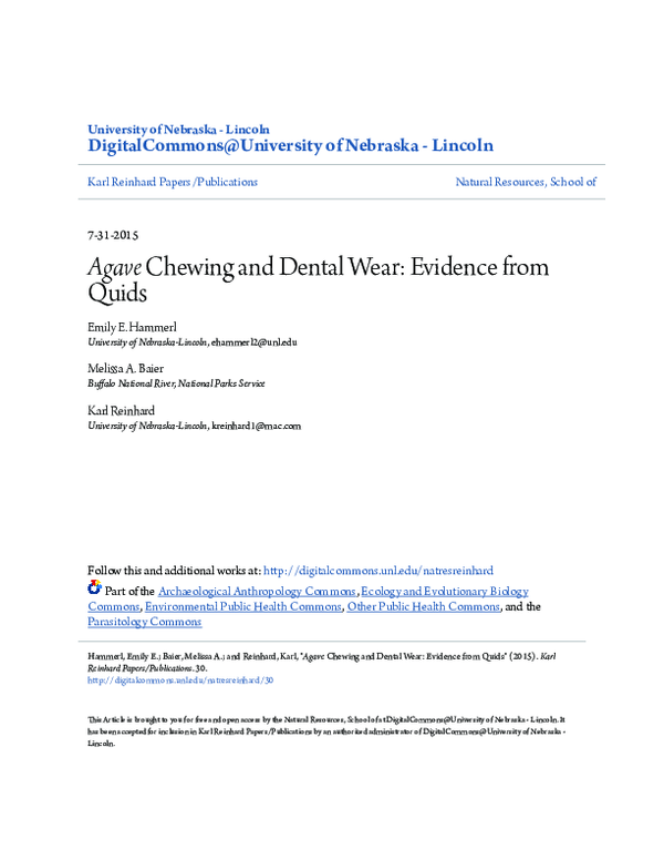 (PDF) \u3ci\u3eAgave\u3c/i\u3e Chewing and Dental Wear: Evidence from Quids