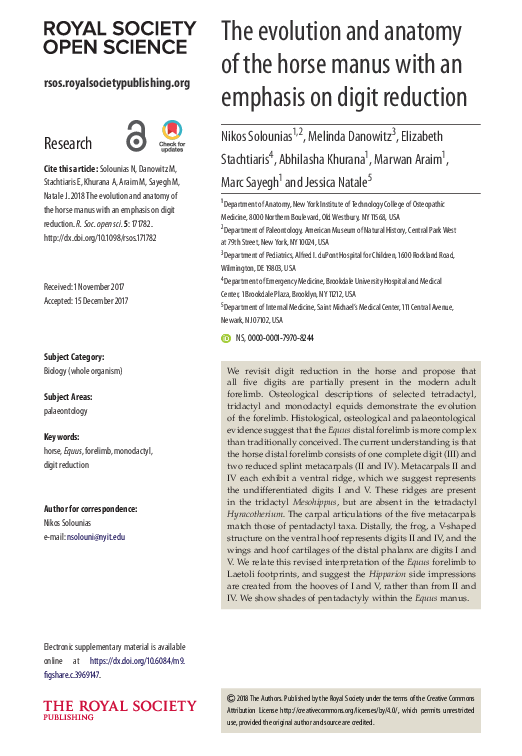 (PDF) The evolution and anatomy of the horse manus with an emphasis on ...