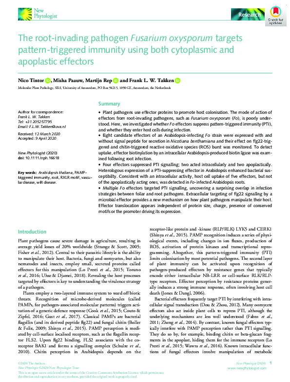 (PDF) The root‐invading pathogen Fusarium oxysporum targets pattern ...