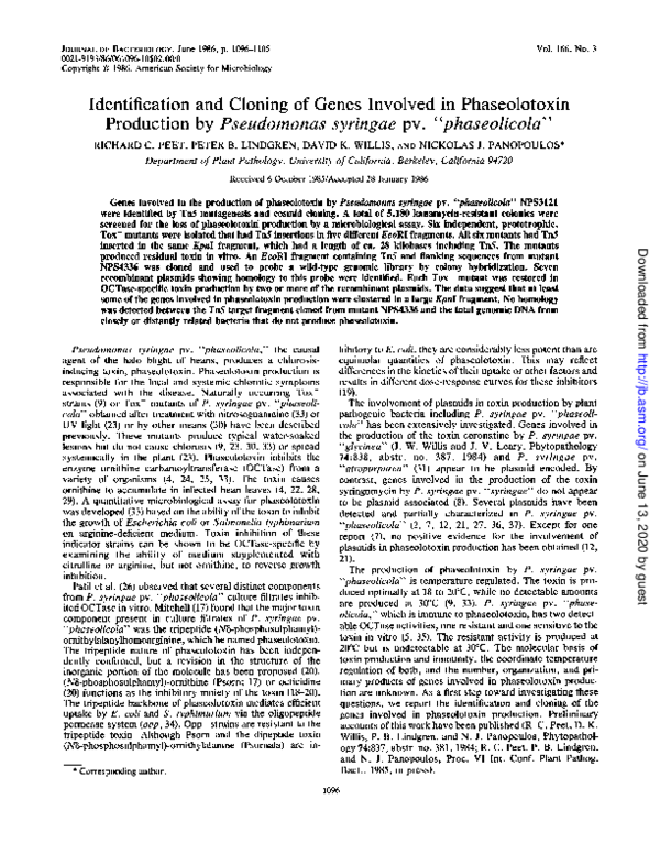 (PDF) Identification and cloning of genes involved in phaseolotoxin ...