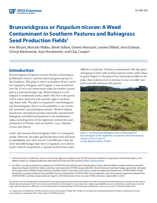 (PDF) Brunswickgrass or Paspalum nicorae: A Weed Contaminant in ...