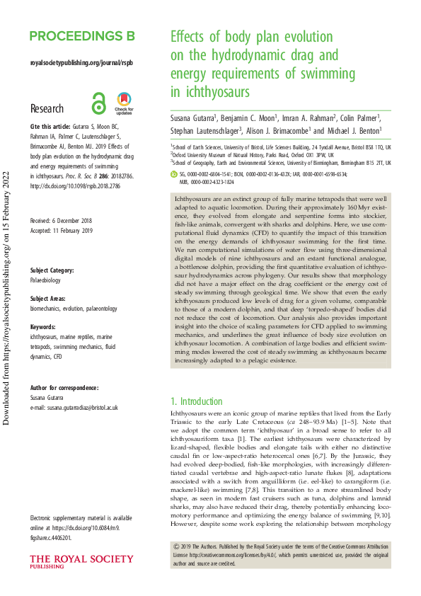 (PDF) Effects of body plan evolution on the hydrodynamic drag and ...
