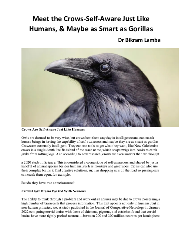 (DOC) Meet the Crows Self Aware Just Like Humans May Be as Smart as ...