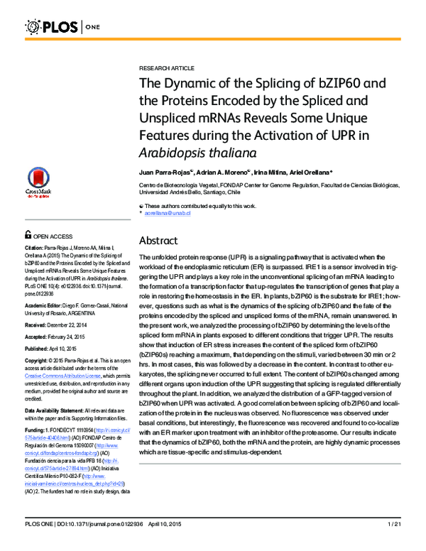 (PDF) Dynamics of bZIP60 Splicing and UPR Activation in Arabidopsis