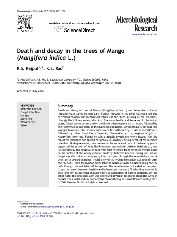 (PDF) Death and decay in the trees of Mango (Mangifera indica L.)