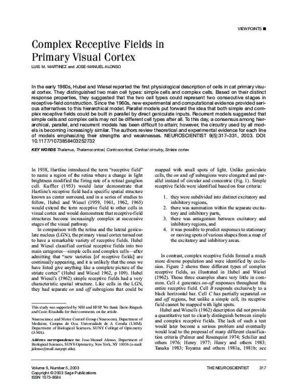 (PDF) Complex Receptive Fields in Primary Visual Cortex
