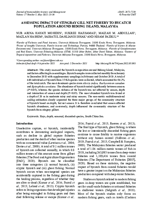 (PDF) Assessing Impact of Stingray Gill Net Fishery to Bycatch ...
