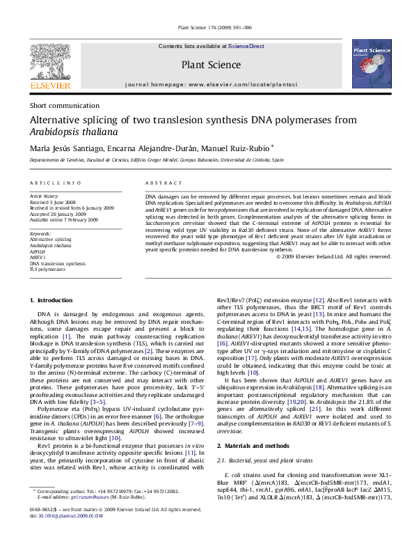 (PDF) Splicing of TLS Polymerases in Arabidopsis