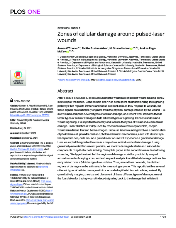 (PDF) Zones of cellular damage around pulsed-laser wounds
